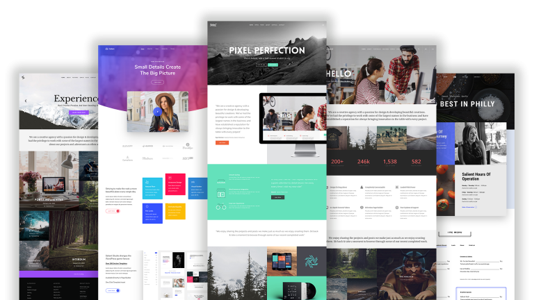 Salient Theme for WordPress – Responsive & Multi-Purpose
