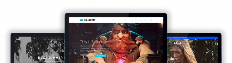 Salient Theme for WordPress – Responsive & Multi-Purpose